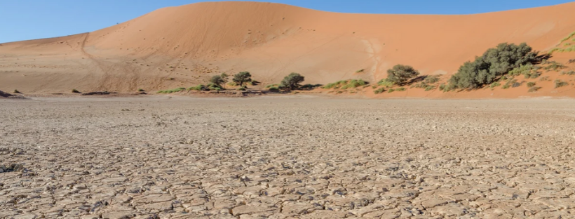 Dia mundial de combate à desertificação: entenda o fenômeno e as ...